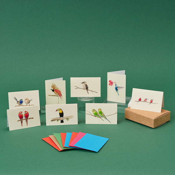 Boxed Collection of Mini Exotic Birds cards - 8 cards – Papersheep